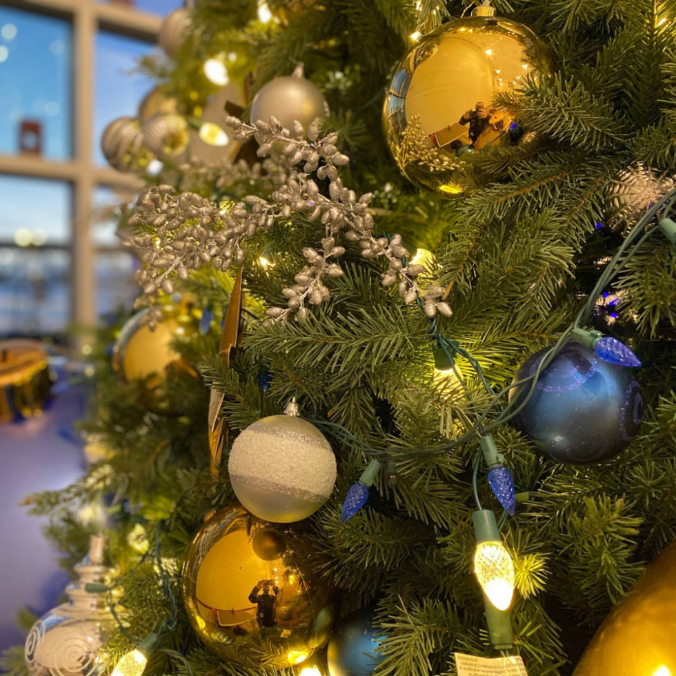 Home - Camden Clark Foundation