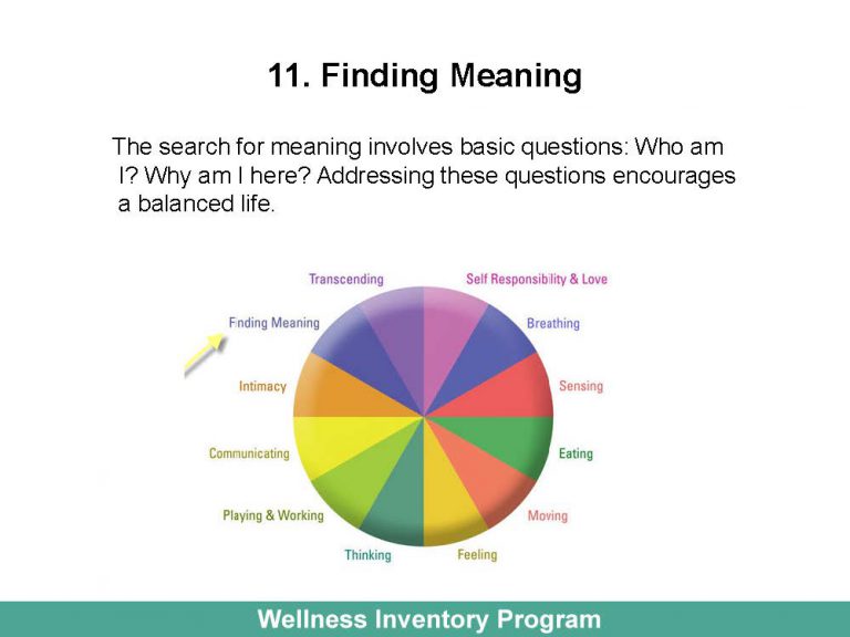 Finding Meaning | Wellness