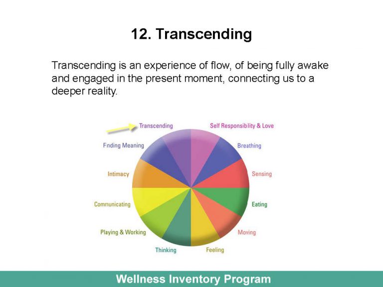 Transcending | Wellness